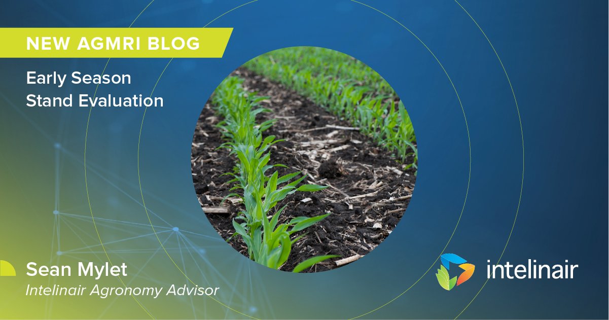Early Season Stand Evaluation - IntelinAir | AGMRI
