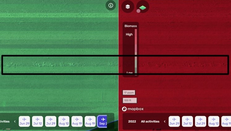 Evaluating Down Corn with AGMRI - IntelinAir | AGMRI