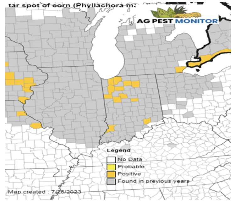 Continue to Measure for Potential Disease Infestations - IntelinAir | AGMRI