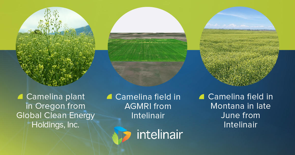 Intelinair Selected as Partner for USDA Climate-Smart Commodities Grant - IntelinAir | AGMRI