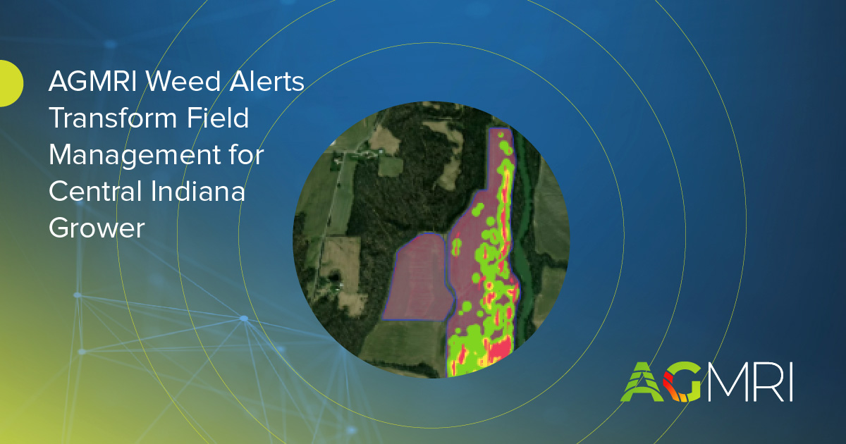 AGMRI Weed Alerts Transform Field Management for Central Indiana Grower ...