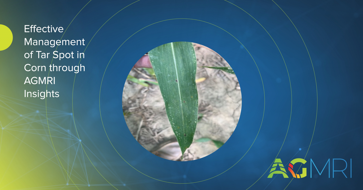 Use Case: Effective Management of Tar Spot in Corn through AGMRI ...