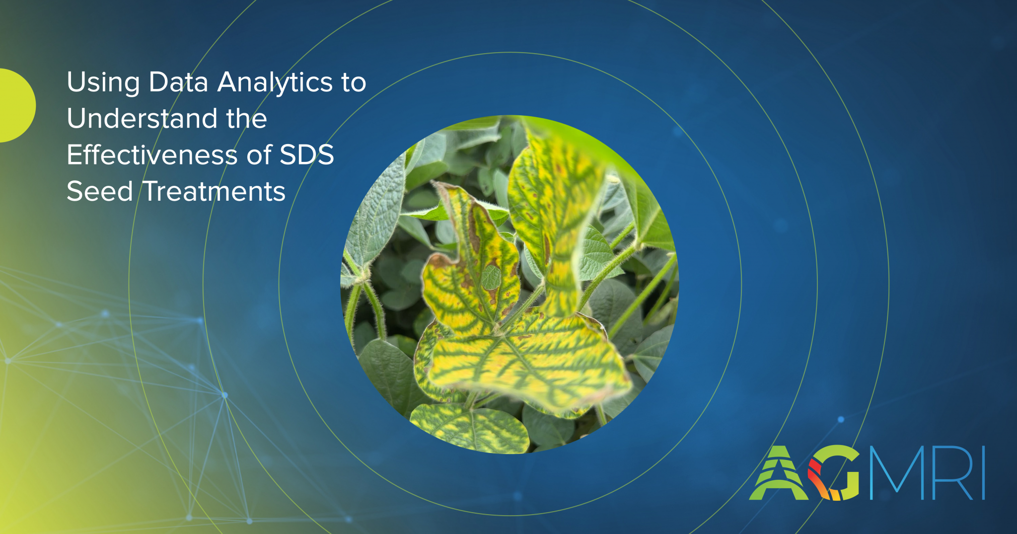 Use Case: Using Data Analytics to Understand the Effectiveness of Seed ...